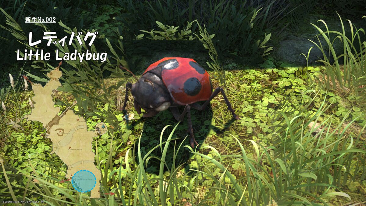 新生No.002 レディバグ(Little Ladybug)｜さにすとのインベントリ