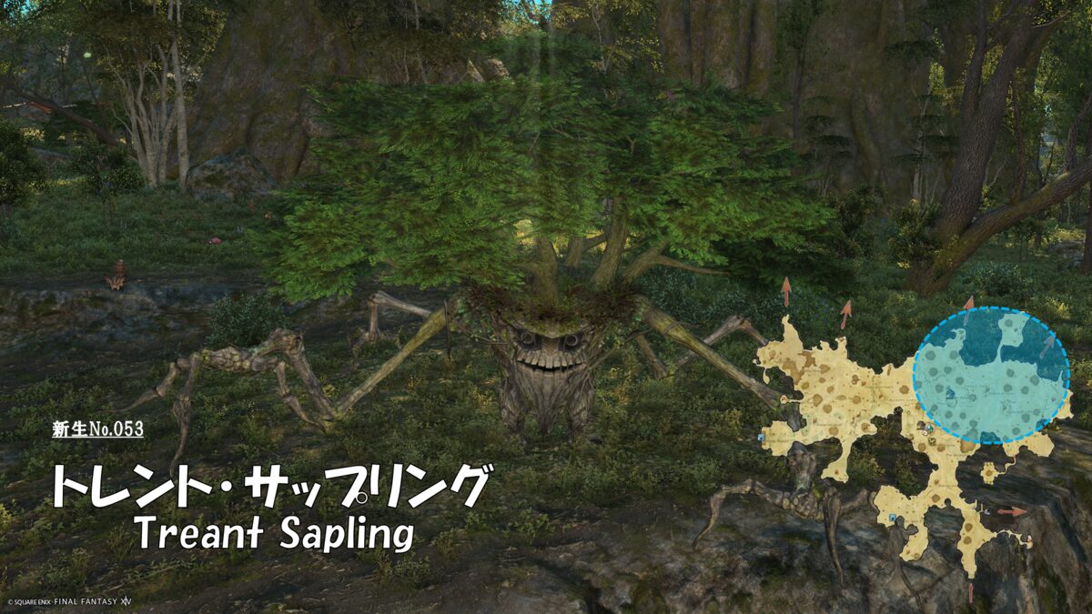 新生No.053 トレント･サップリング(Treant Sapling)｜さにすとのインベントリ