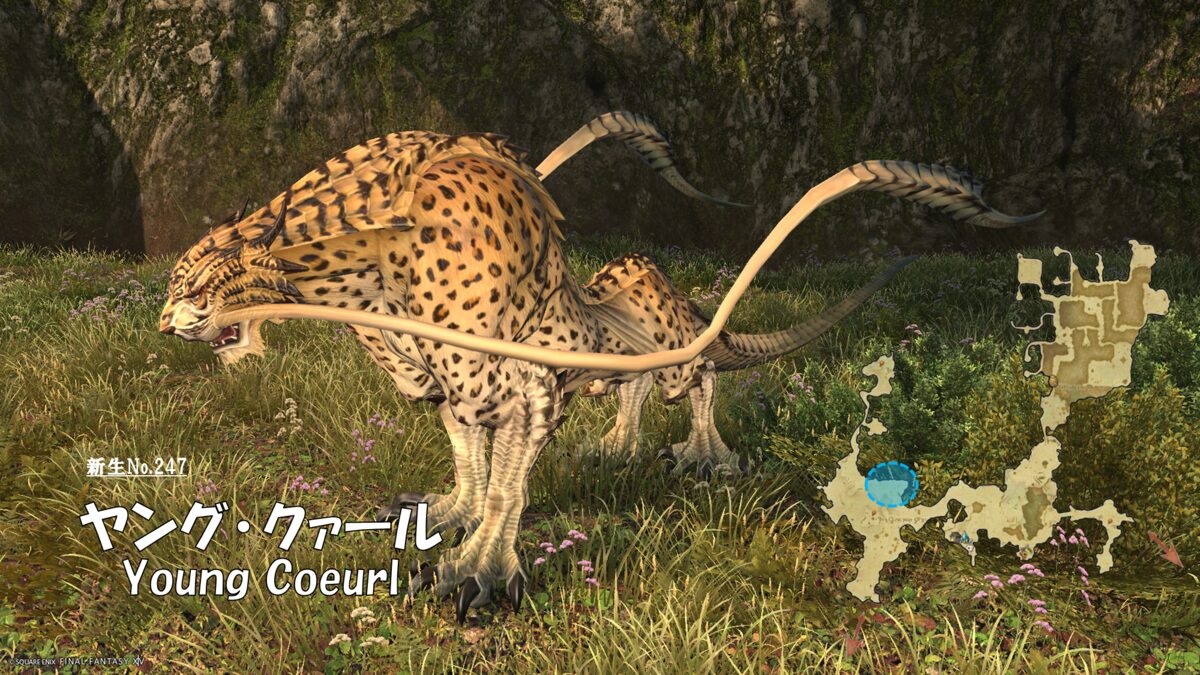 新生No.247 ヤング･クァール(Young Coeurl)｜さにすとのインベントリ