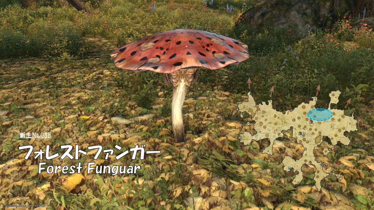 新生No.038 フォレストファンガー(Forest Funguar)｜さにすとのインベントリ
