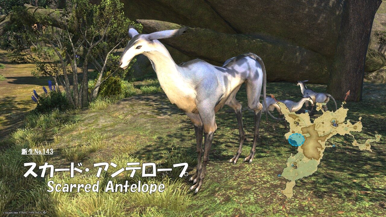 新生No.143 スカード･アンテロープ(Scarred Antelope)｜さにすとのインベントリ