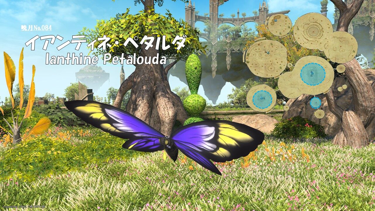 暁月No.084 イアンティネ･ペタルダ(Ianthine Petalouda)｜さにすとのインベントリ